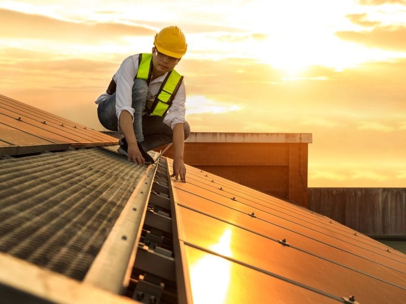 Zinc Strips for Roofs: Do They Really Work for Moss Prevention?